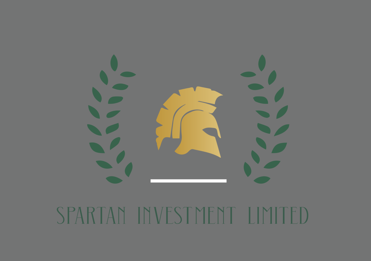 ABOUT US – Spartan investments